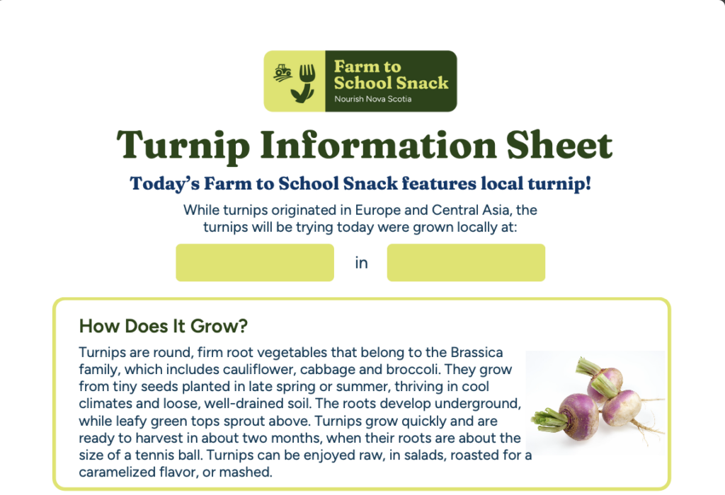 Information Sheets – Turnip – Nourish Nova Scotia