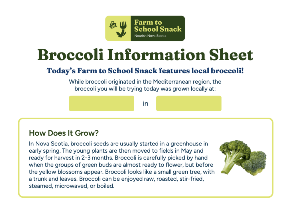 Information Sheets – Broccoli – Nourish Nova Scotia