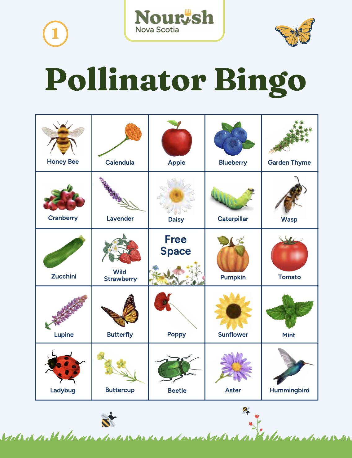 Pollinator Bingo – Nourish Nova Scotia
