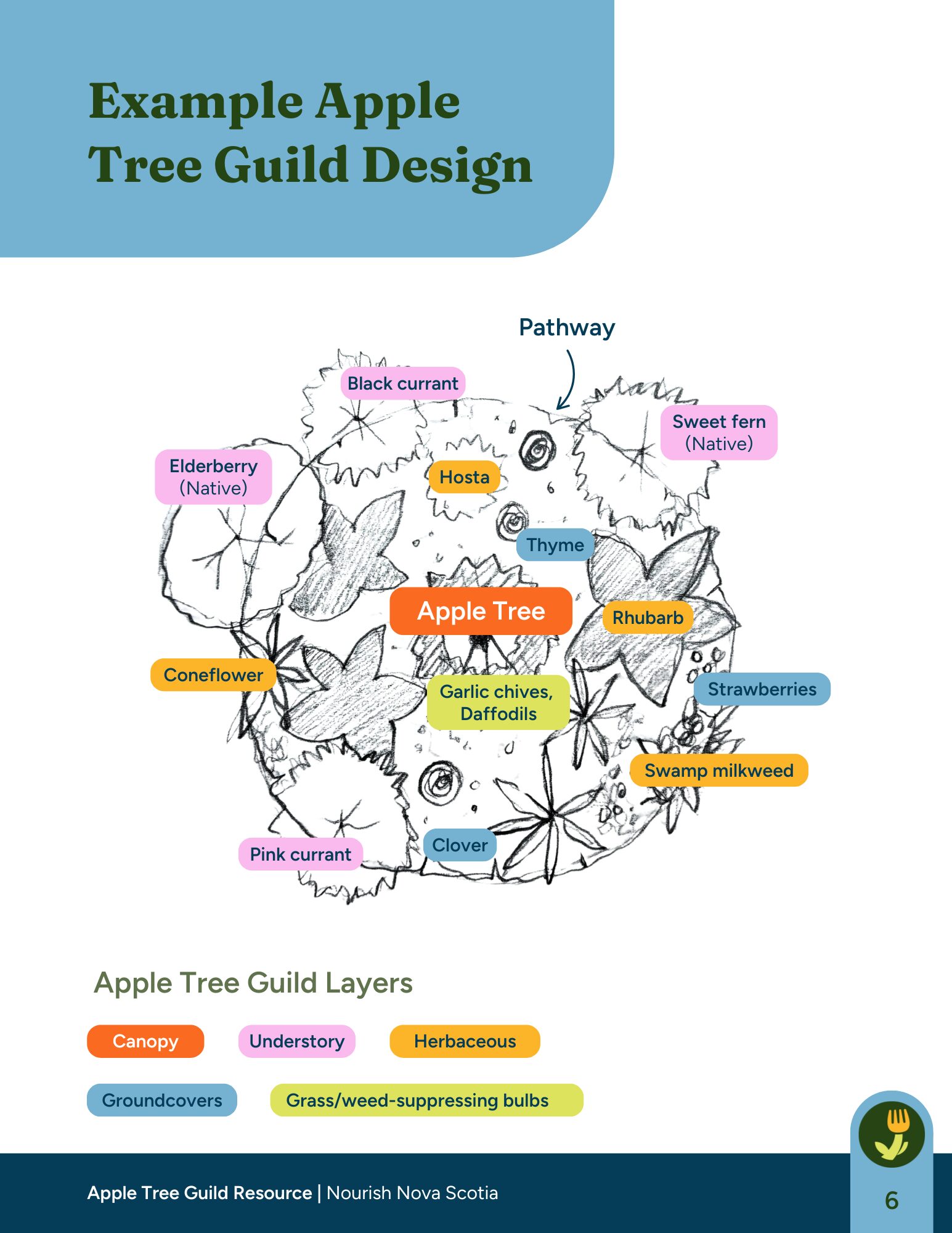 Apple Tree Guild: How-to Guide – Nourish Nova Scotia